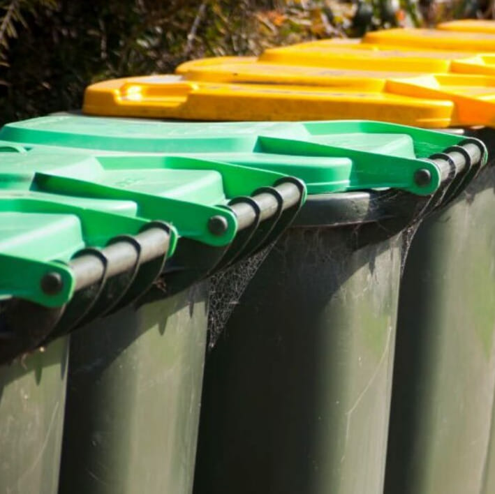 Joint actions to end bin contamination: Bega Valley | The National Tribune